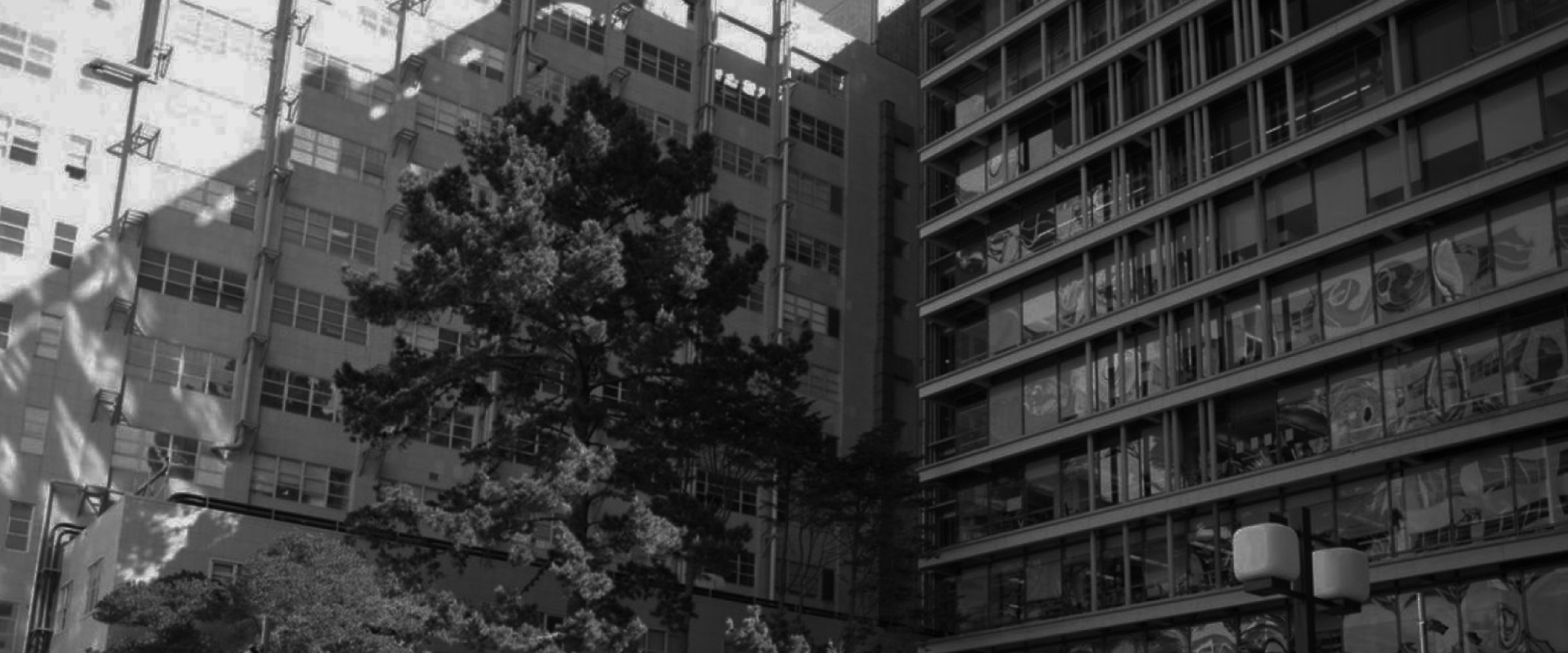 UCSF CoLabs Initiative | UCSF CoLabs